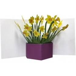 Pop-up Card Daffodils
